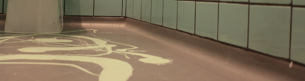 Stainless Steel Capping Profiles | Edge Trims 2 LM @ 8 mm Depth